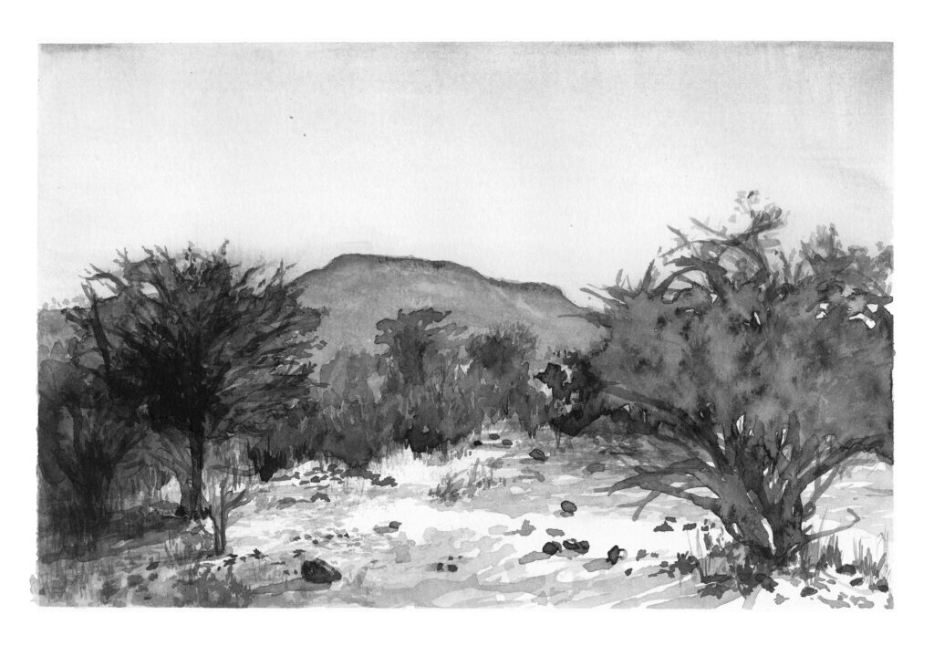 The hill at Mogonye - Julia Meintjes